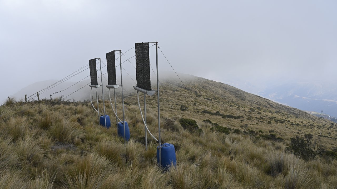 Fog nets Bolivia - New fog net project